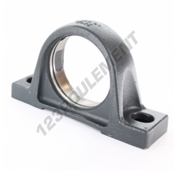 Housed bearing - 2 bolts gg-ase-10-ina | 123bearing